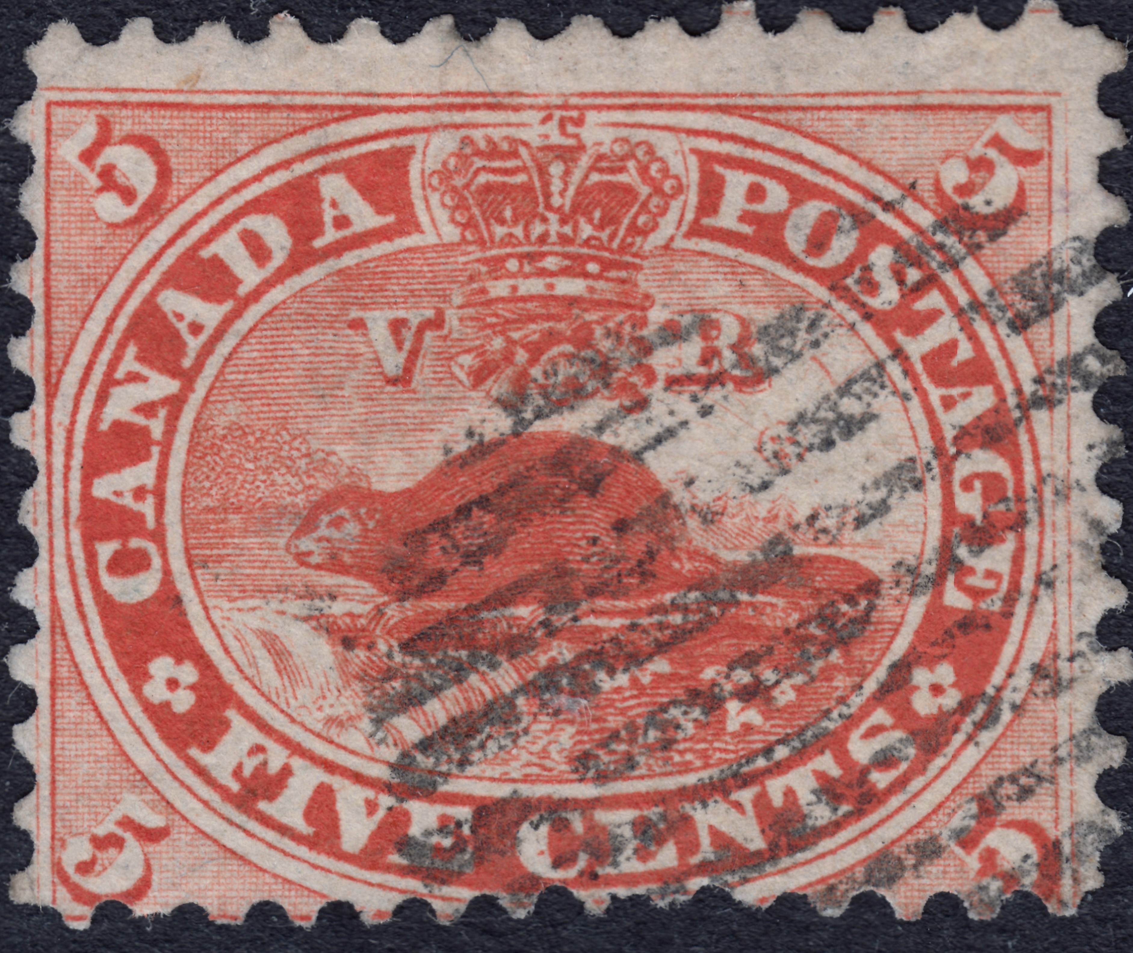 1859 5c Beaver